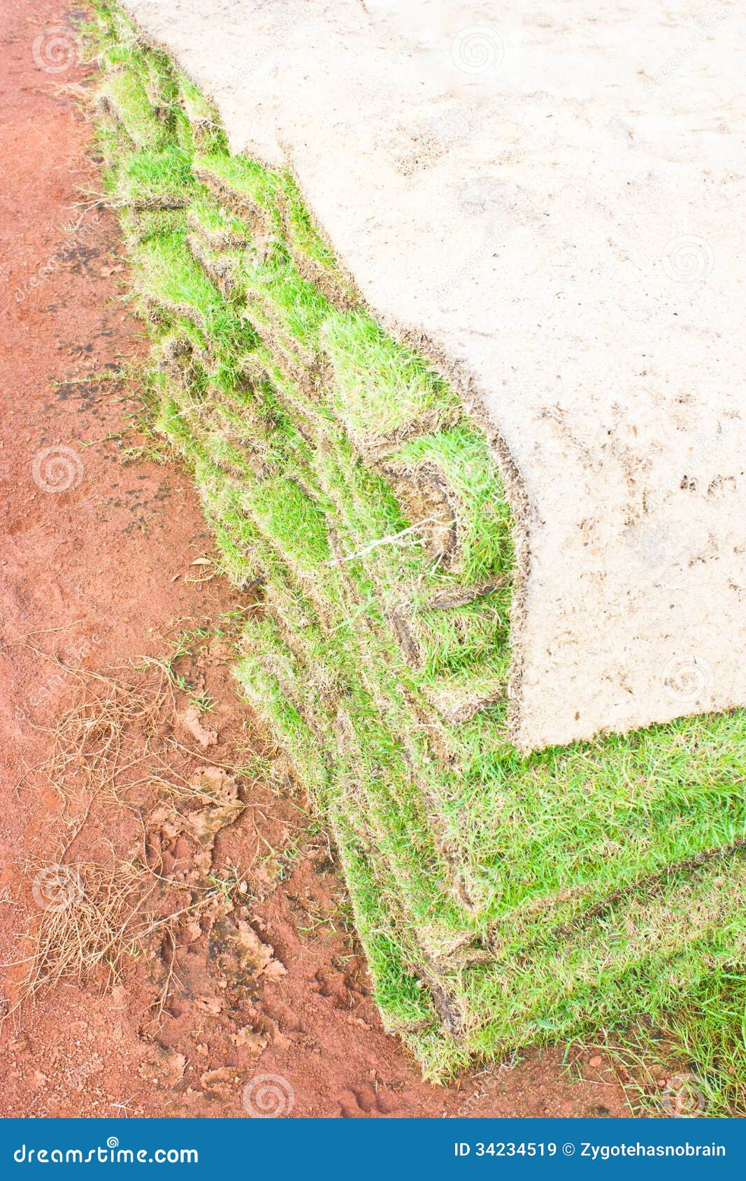 Grass-plot for New Lawn. stock image. Image of clean - 34234519