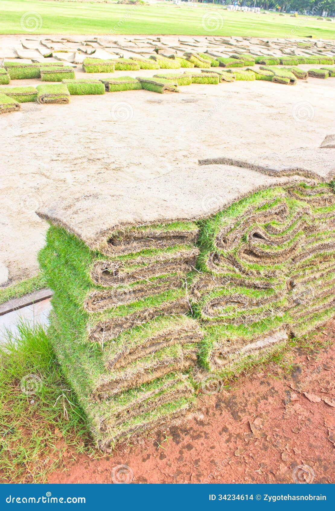 Grass-plot for New Lawn. stock photo. Image of dirty - 34234614