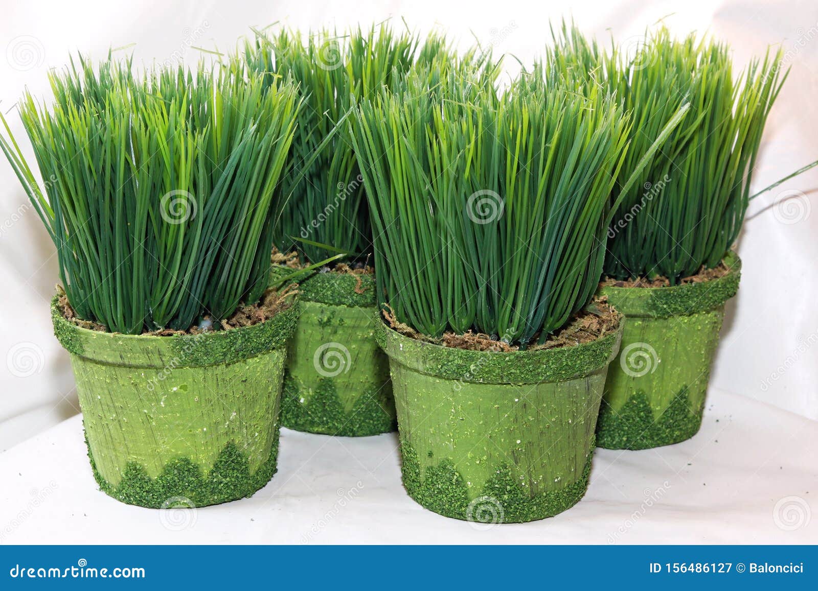 Grass in Pots stock image. Image of green, grass, objects - 156486127