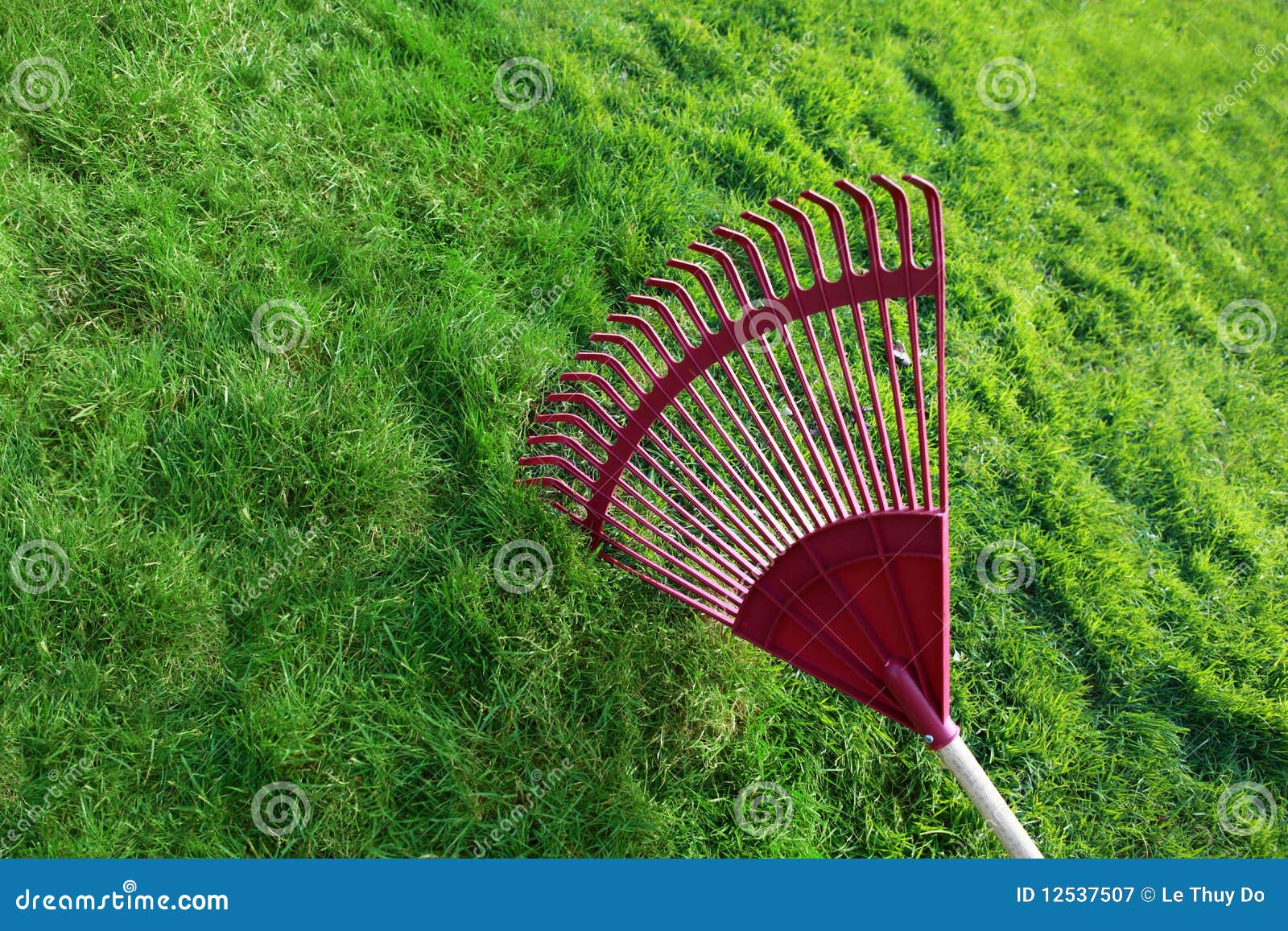 Grass and Rake stock image. Image of autumn, clean, handle - 12537507