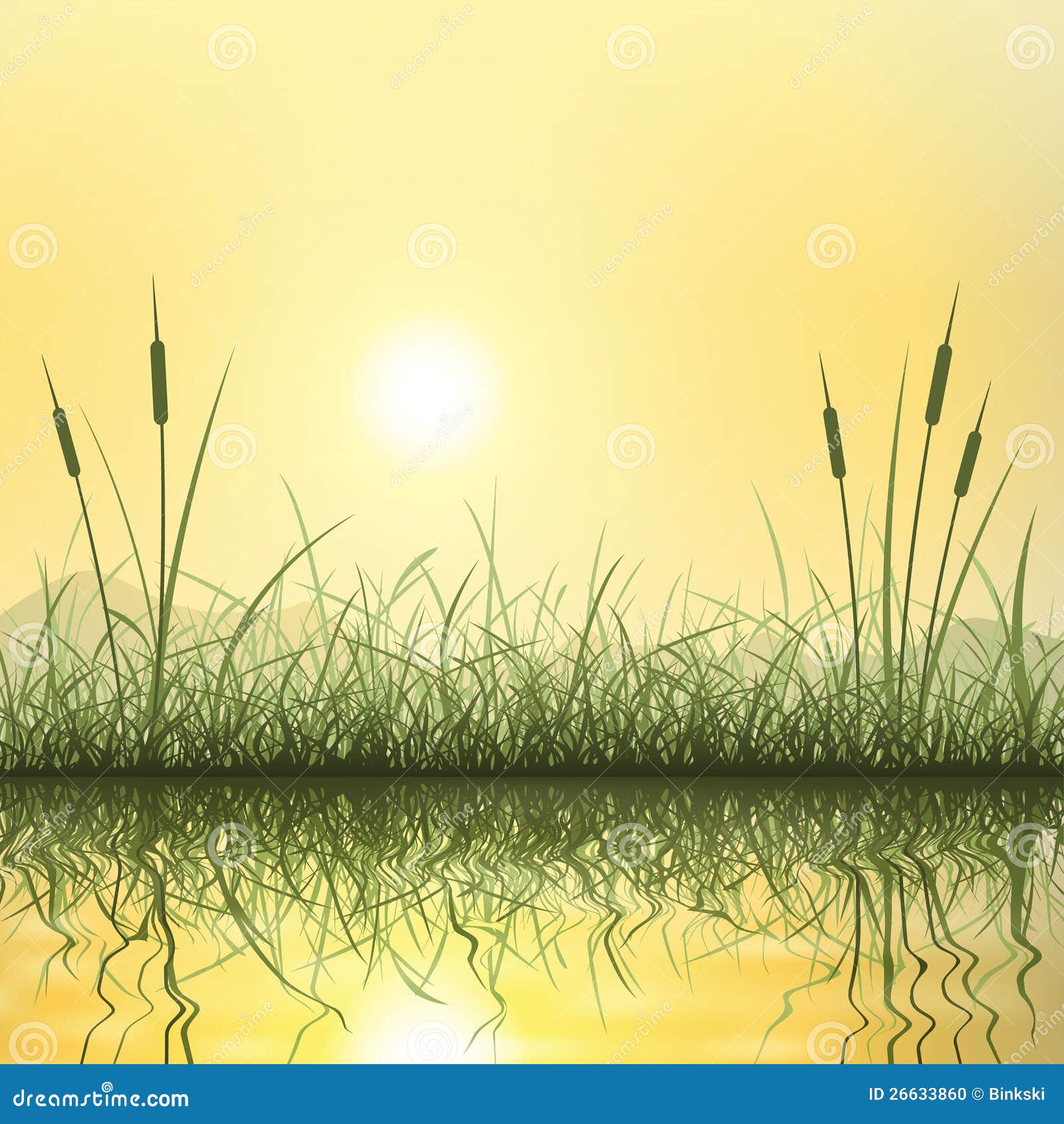 Grass and Reeds stock vector. Illustration of plant, lake - 26633860