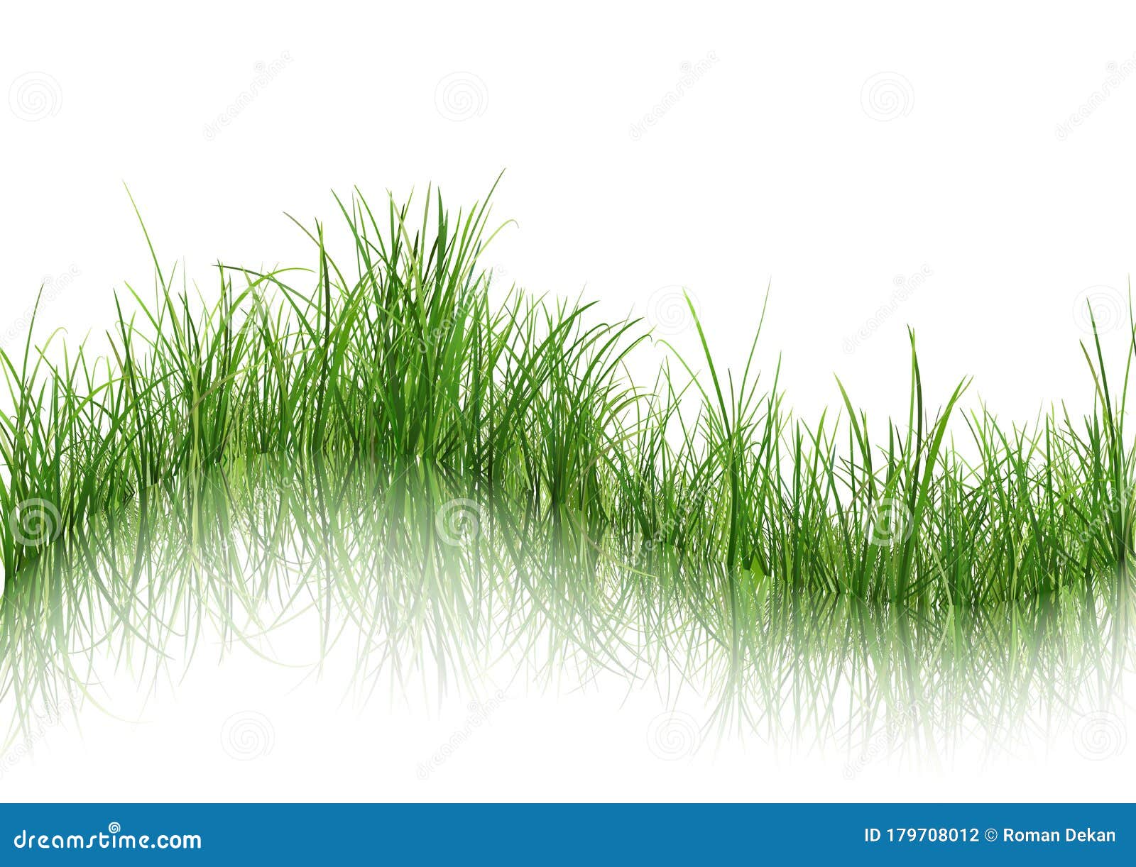 Grass with Reflection on Water Stock Vector - Illustration of isolated ...