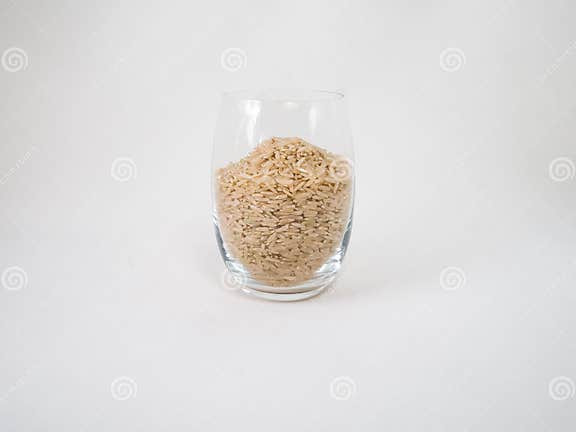 Grass of Rice Gain stock photo. Image of white, grass - 66040170