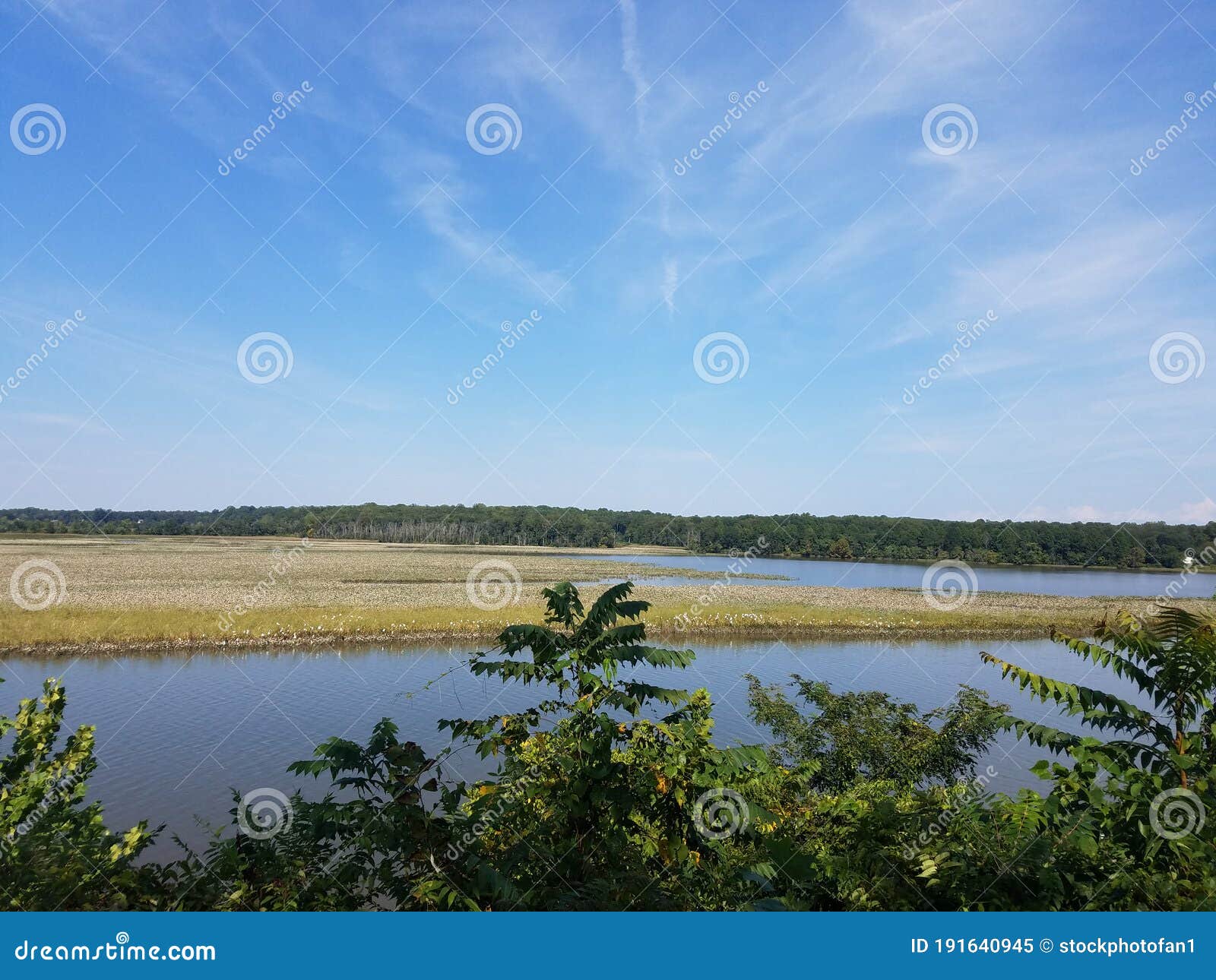 Grass with River Water and Trees Outdoor and Blue Sky Stock Image ...