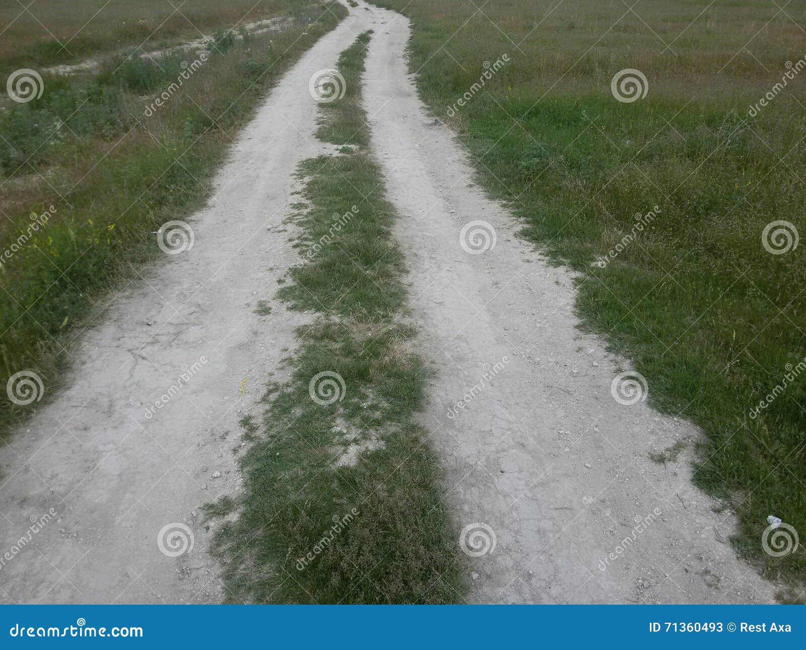 Grass road stock image. Image of country, rural, direction - 71360493