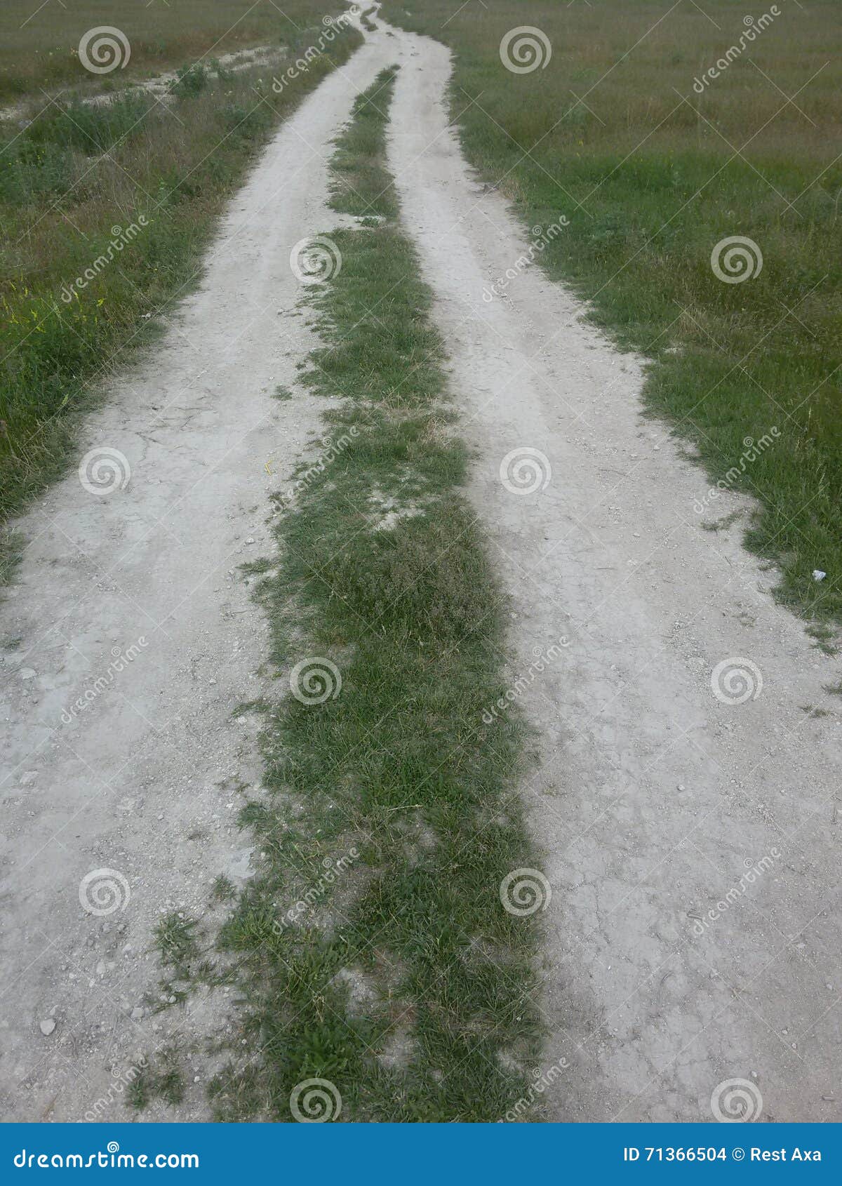 Grass road stock photo. Image of tree, country, asphalt - 71366504