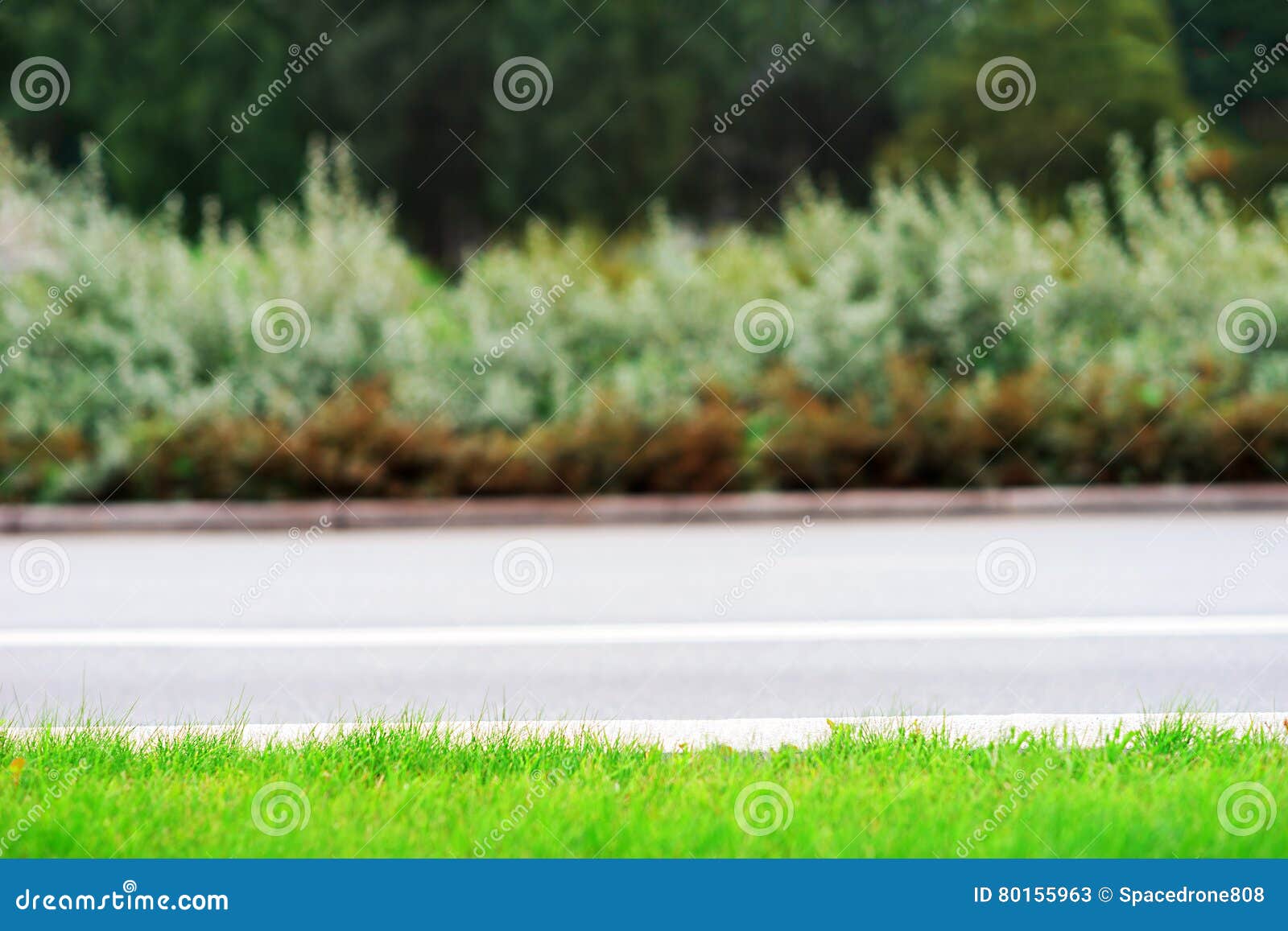 Grass Road Track Background Stock Image - Image of rich, forest: 80155963