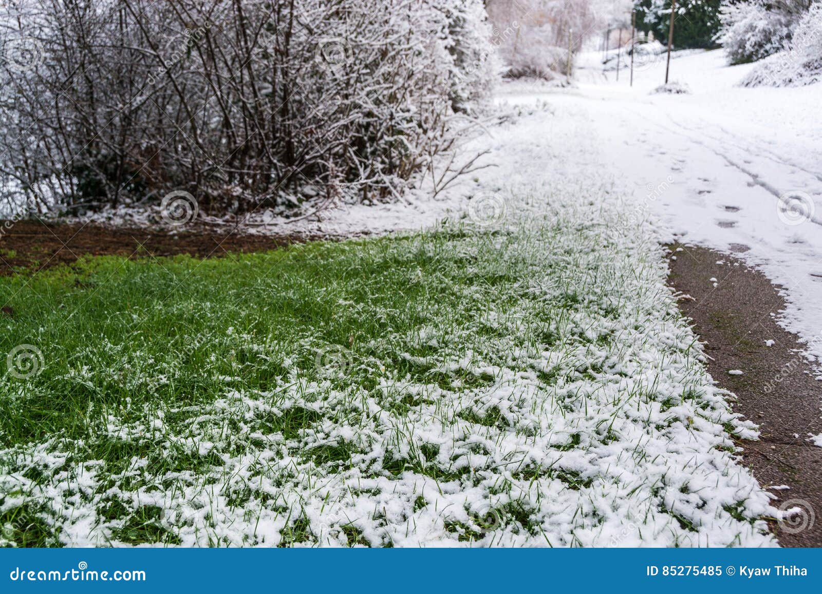 Grass on Roadside Partially Covered by Snow - Horizontal Stock Image ...