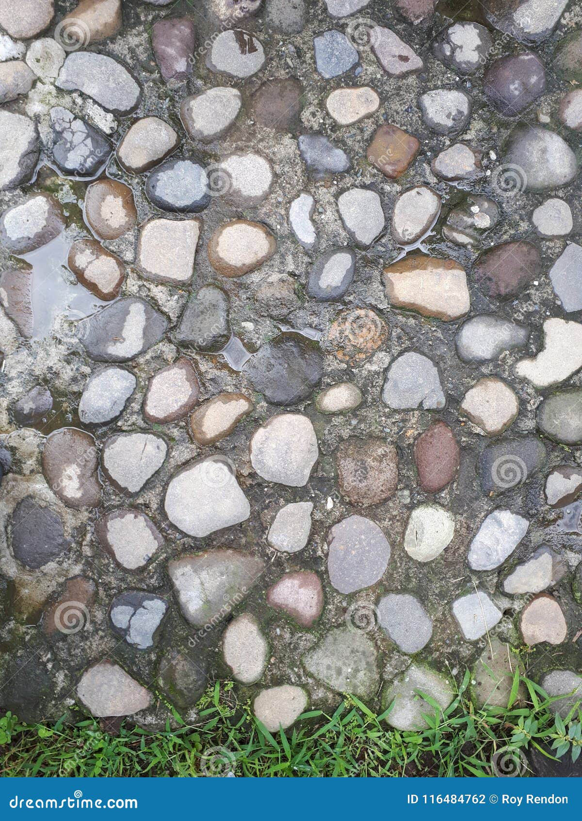 Grass rock floor stock photo. Image of rocks, textured - 116484762