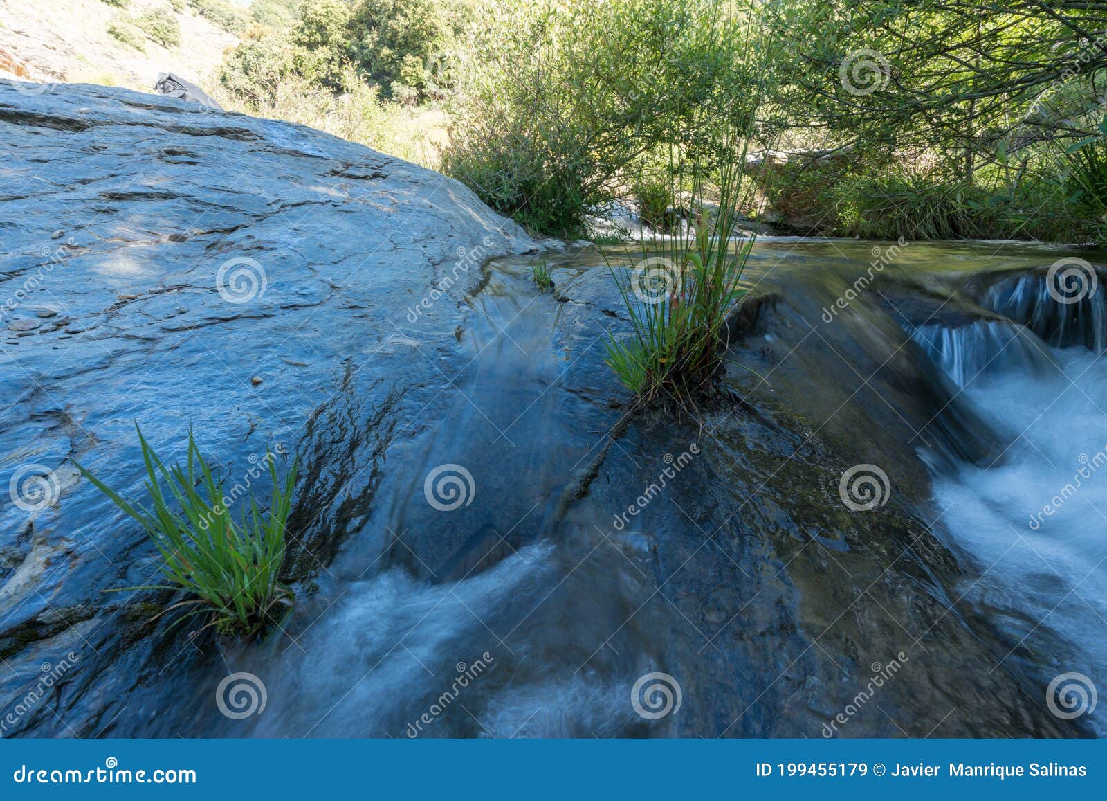 Grass on the Rock in a Stream Stock Image - Image of vegetation, rock ...