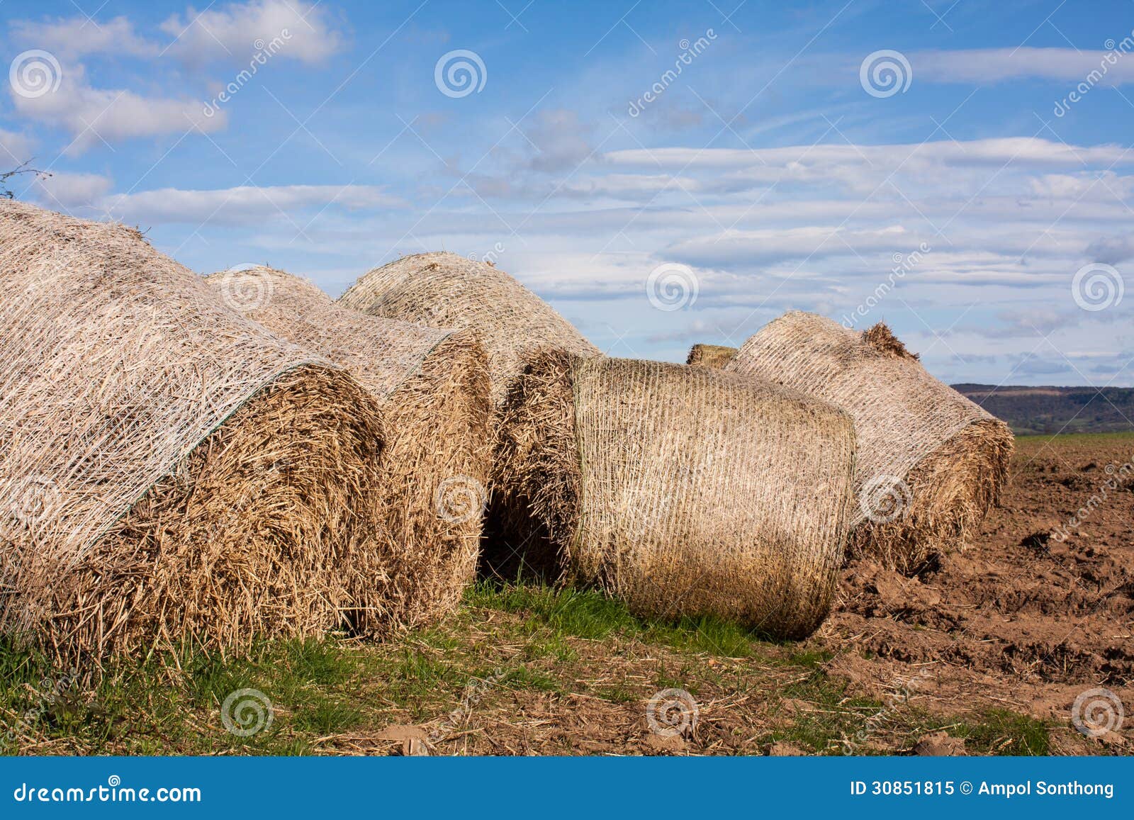 Grass roll stock image. Image of feed, animal, grain - 30851815