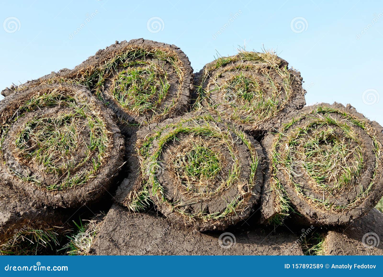 Grass Rolls are Piled in Careless Stacks, Sod Rolls Stock Image - Image ...