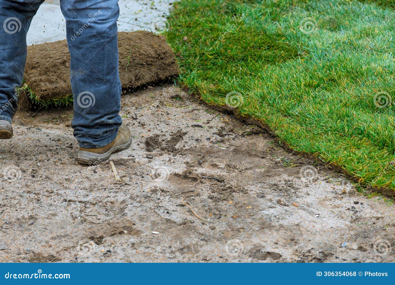 Grass Rolls are Unrolled on Ground by a Man for Landscaping Purposes ...