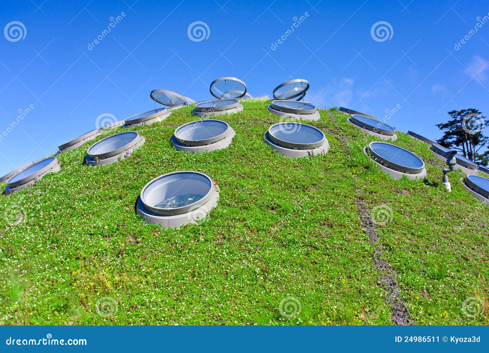 Grass roof stock image. Image of construction, rustic - 24986511