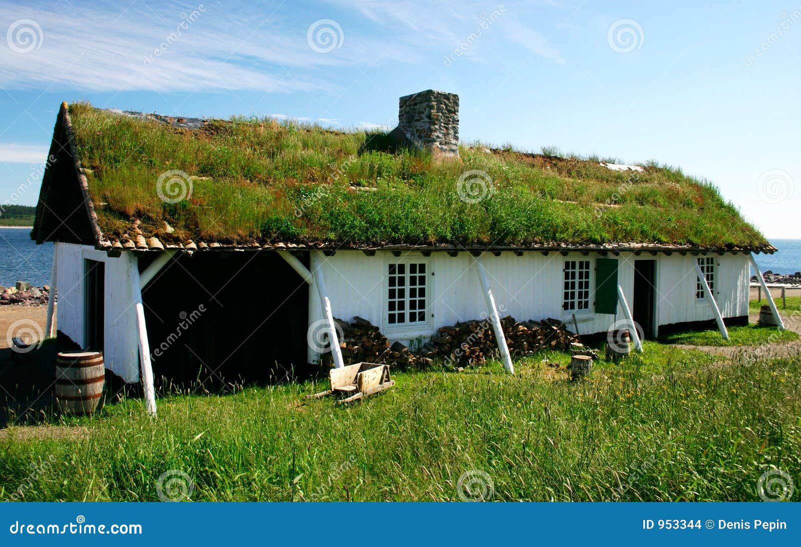 Grass on the Roof stock photo. Image of enclosure, fishing - 953344