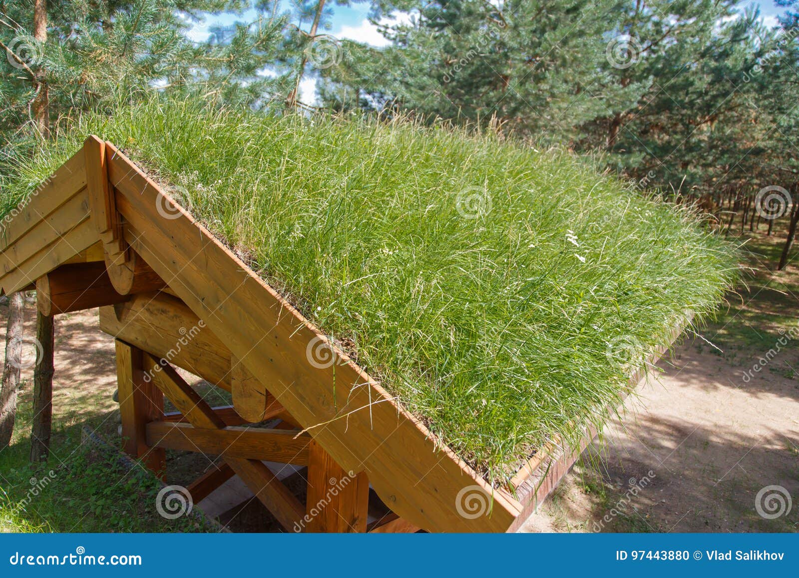 Grass Roof is Environmentally Friendly Stock Photo - Image of nature ...
