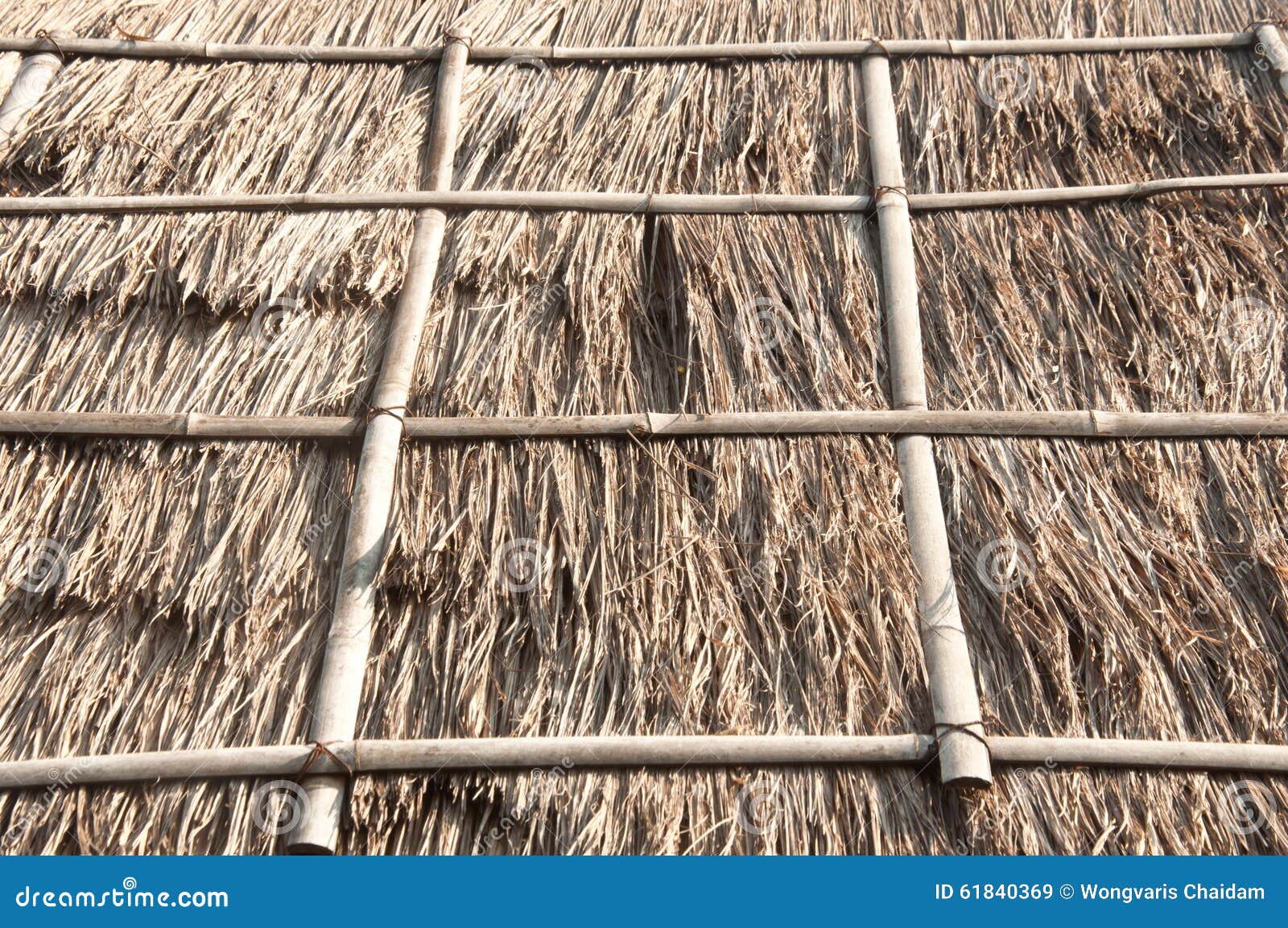 Grass roof stock image. Image of building, surface, rural - 61840369