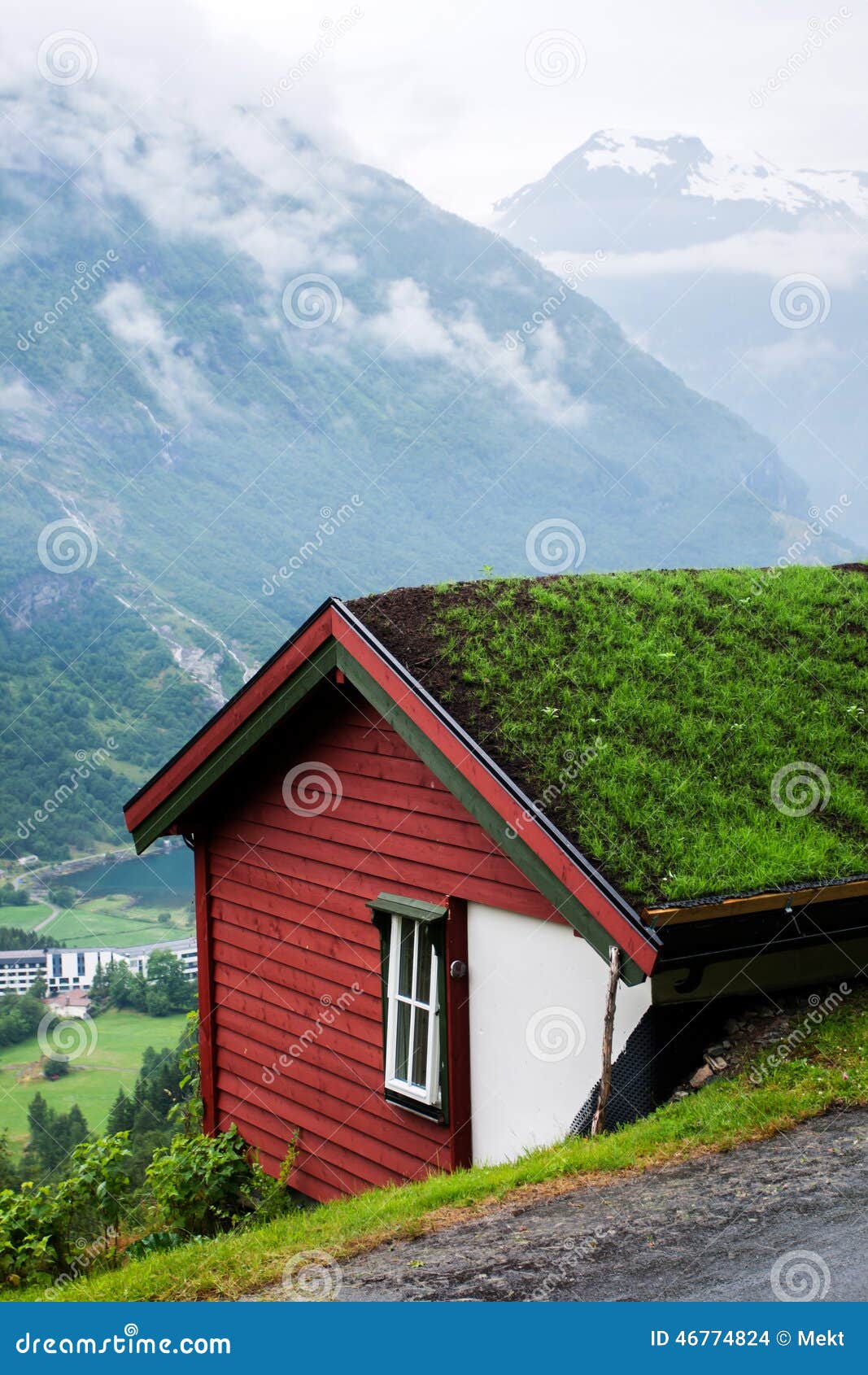 Grass roof stock photo. Image of natural, color, architecture - 46774824