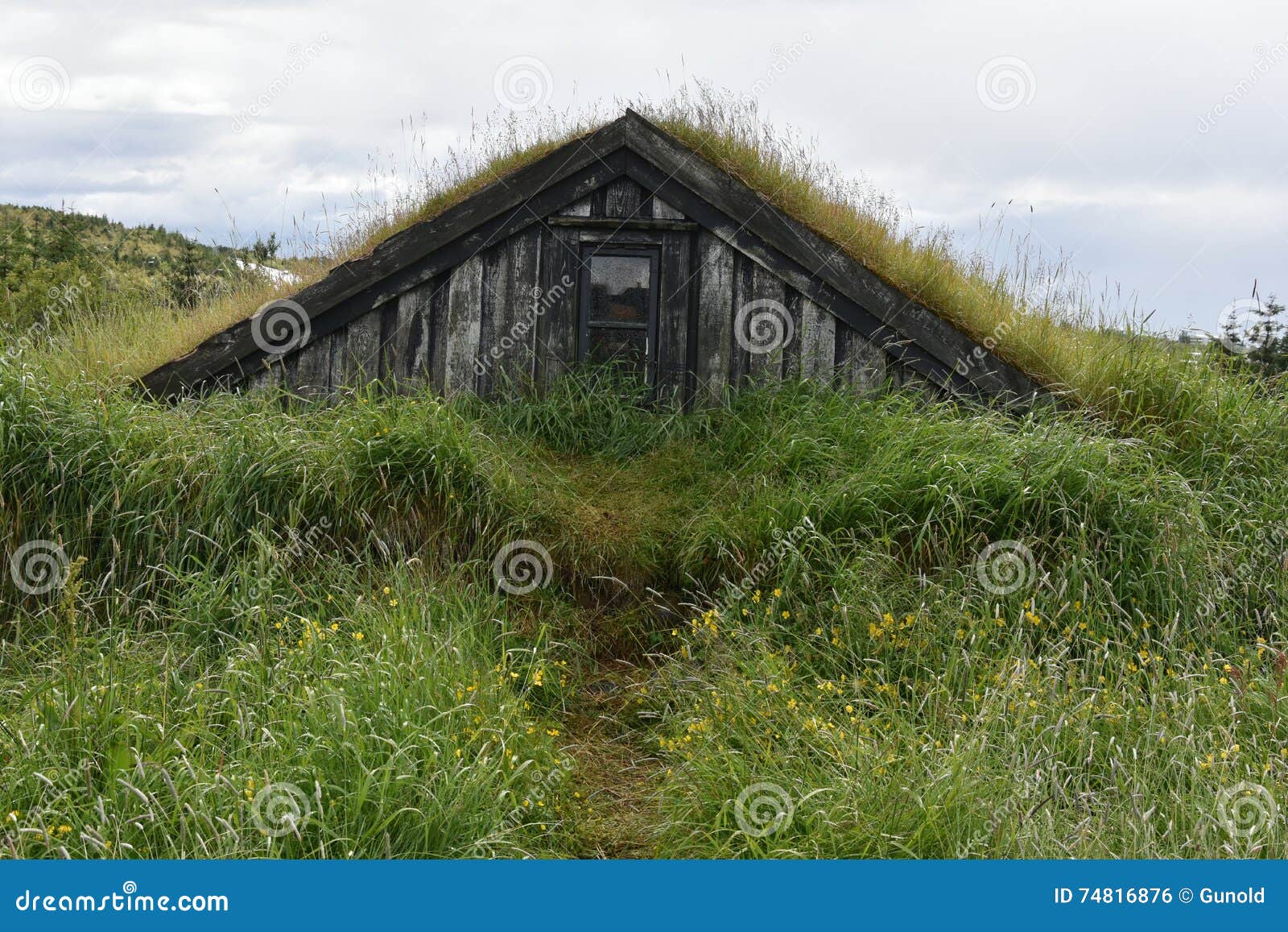 Grass roofed cattle shed stock photo. Image of house - 74816876