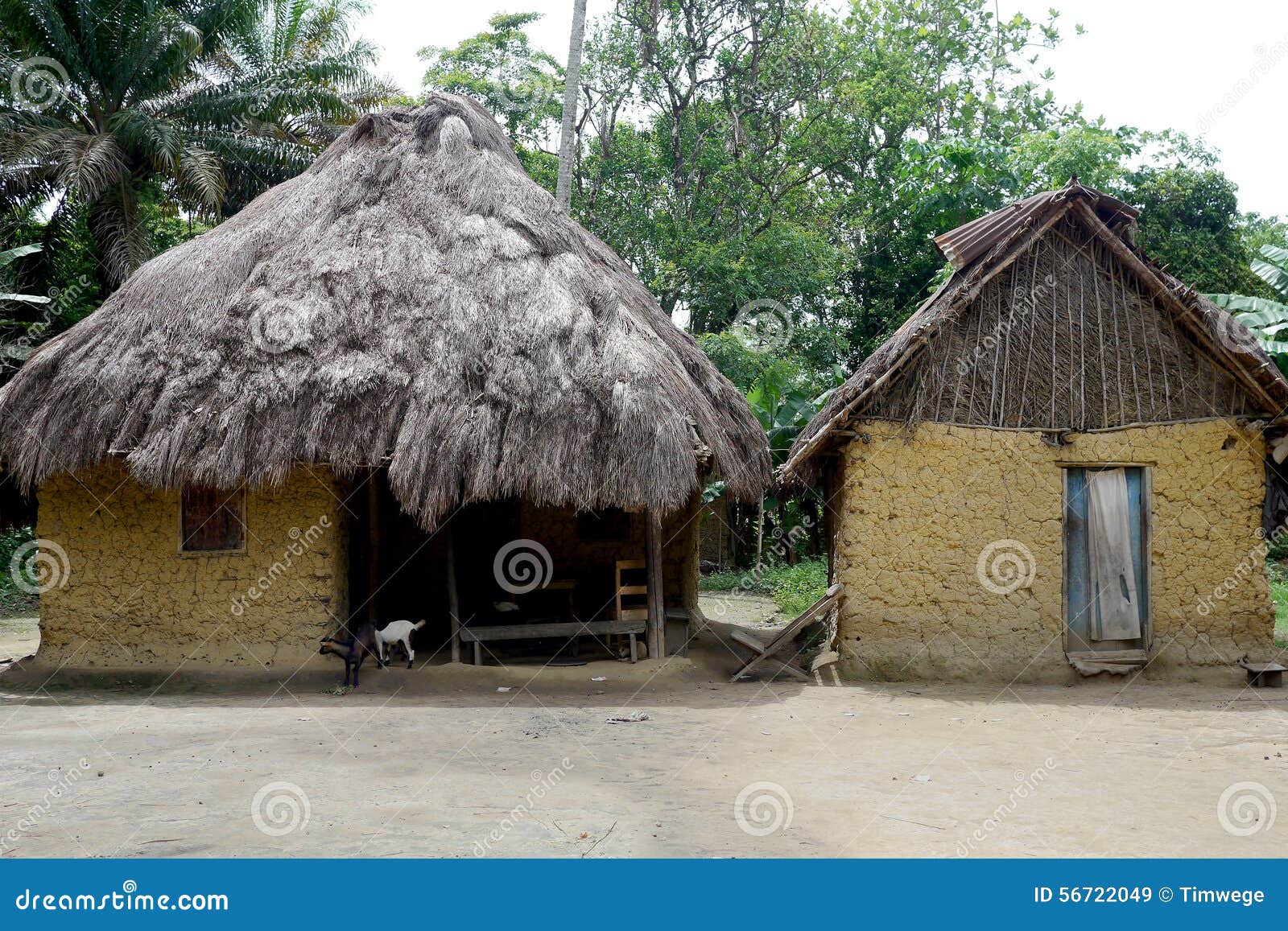 Grass Roofed Mud Huts in African Village Stock Image - Image of ...