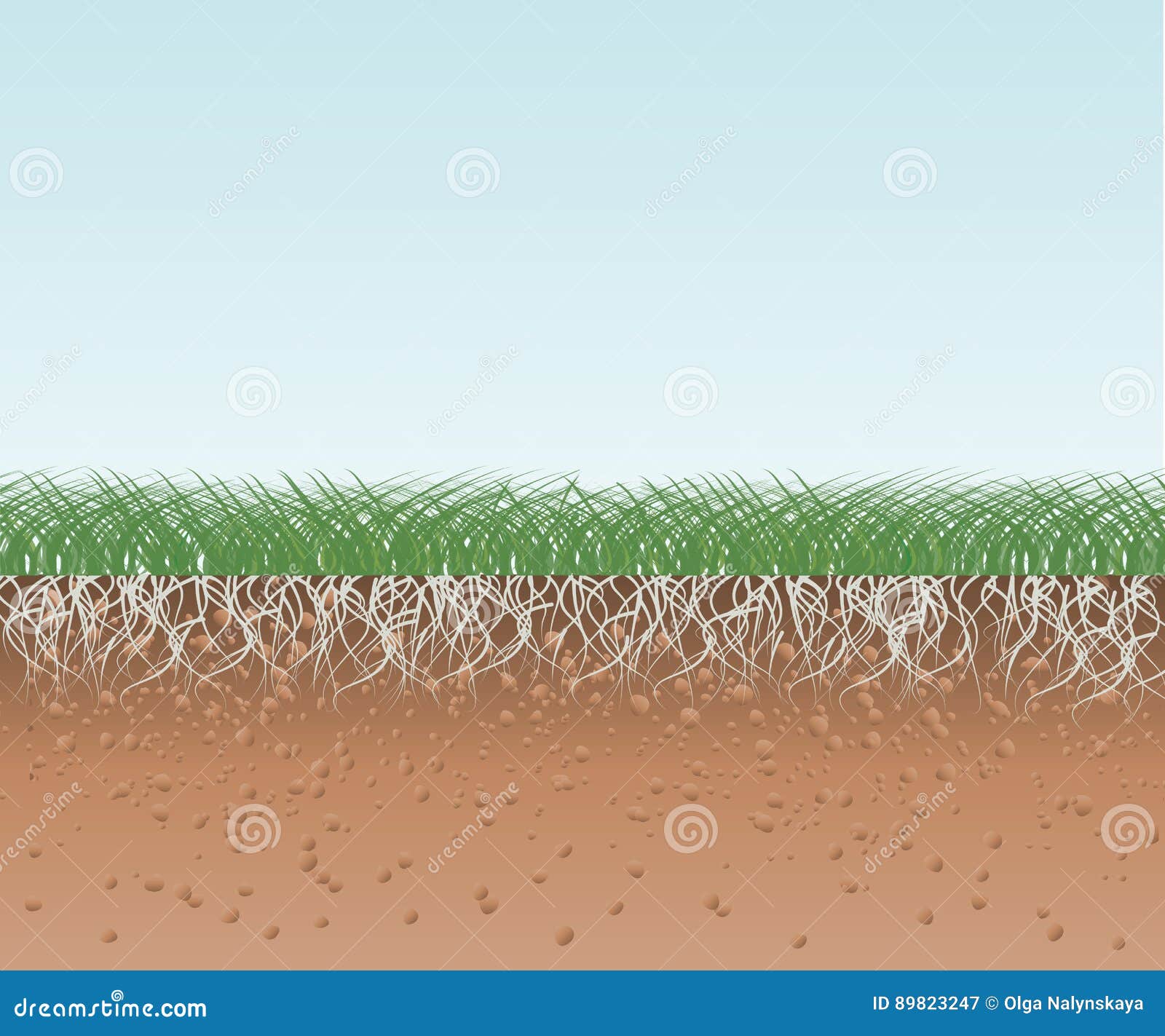 Grass with Roots and Soil stock vector. Illustration of grow - 89823247