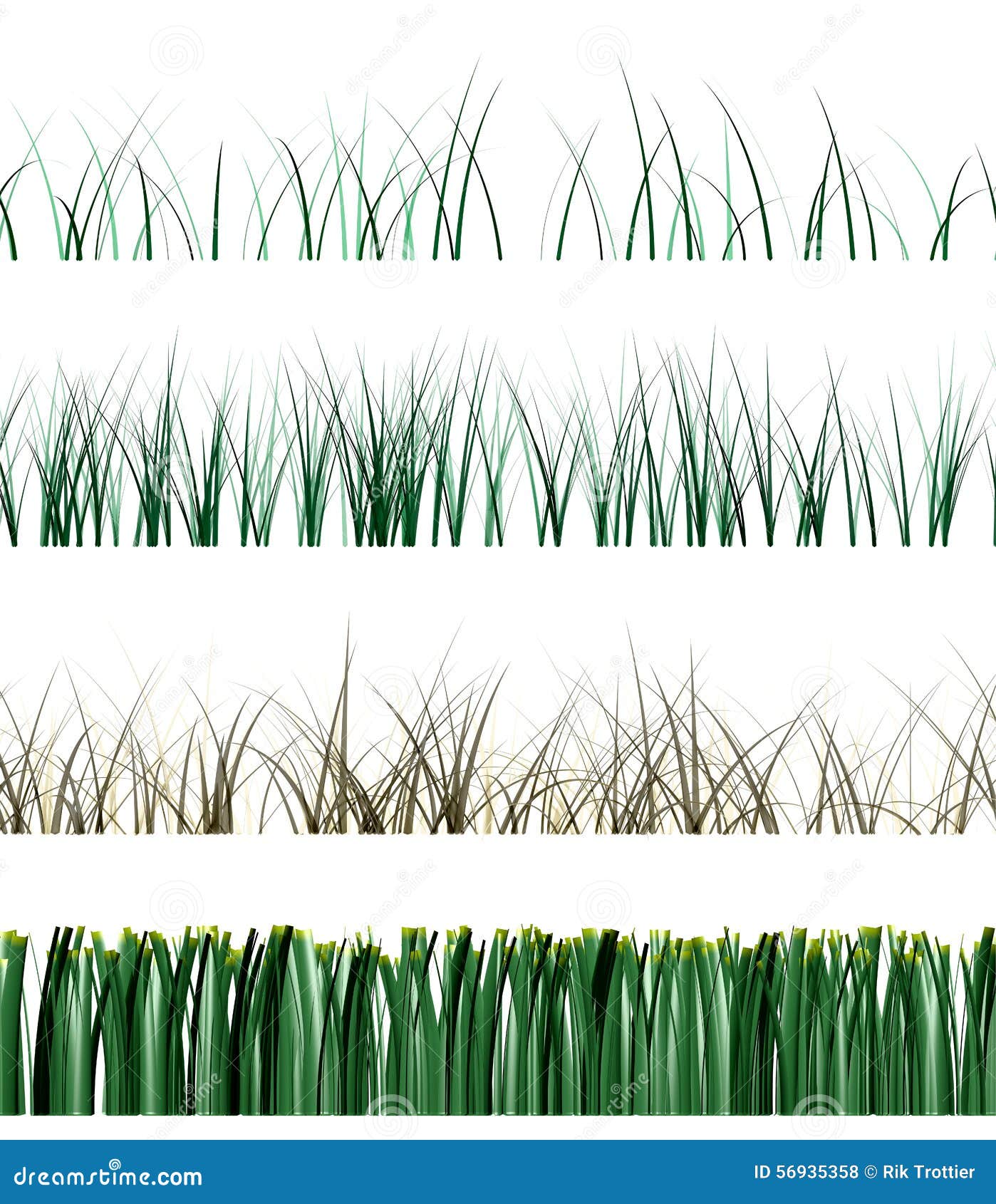 Grass samples stock illustration. Illustration of lawn - 56935358