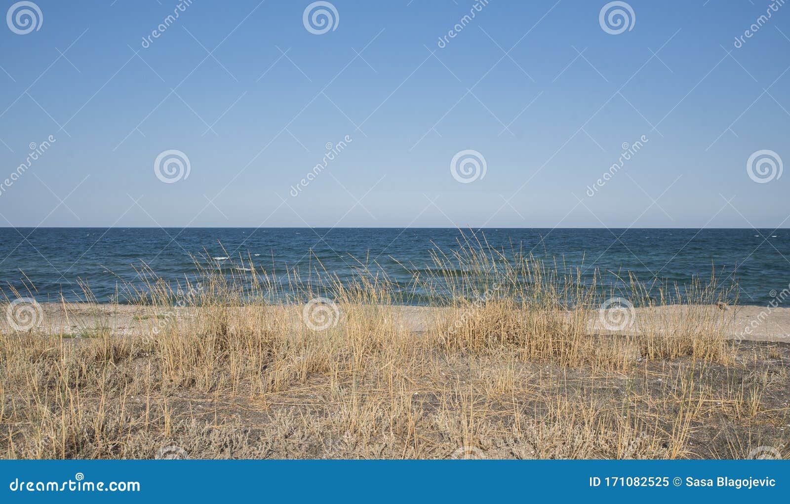 Grass on the sandy beach stock image. Image of relax - 171082525