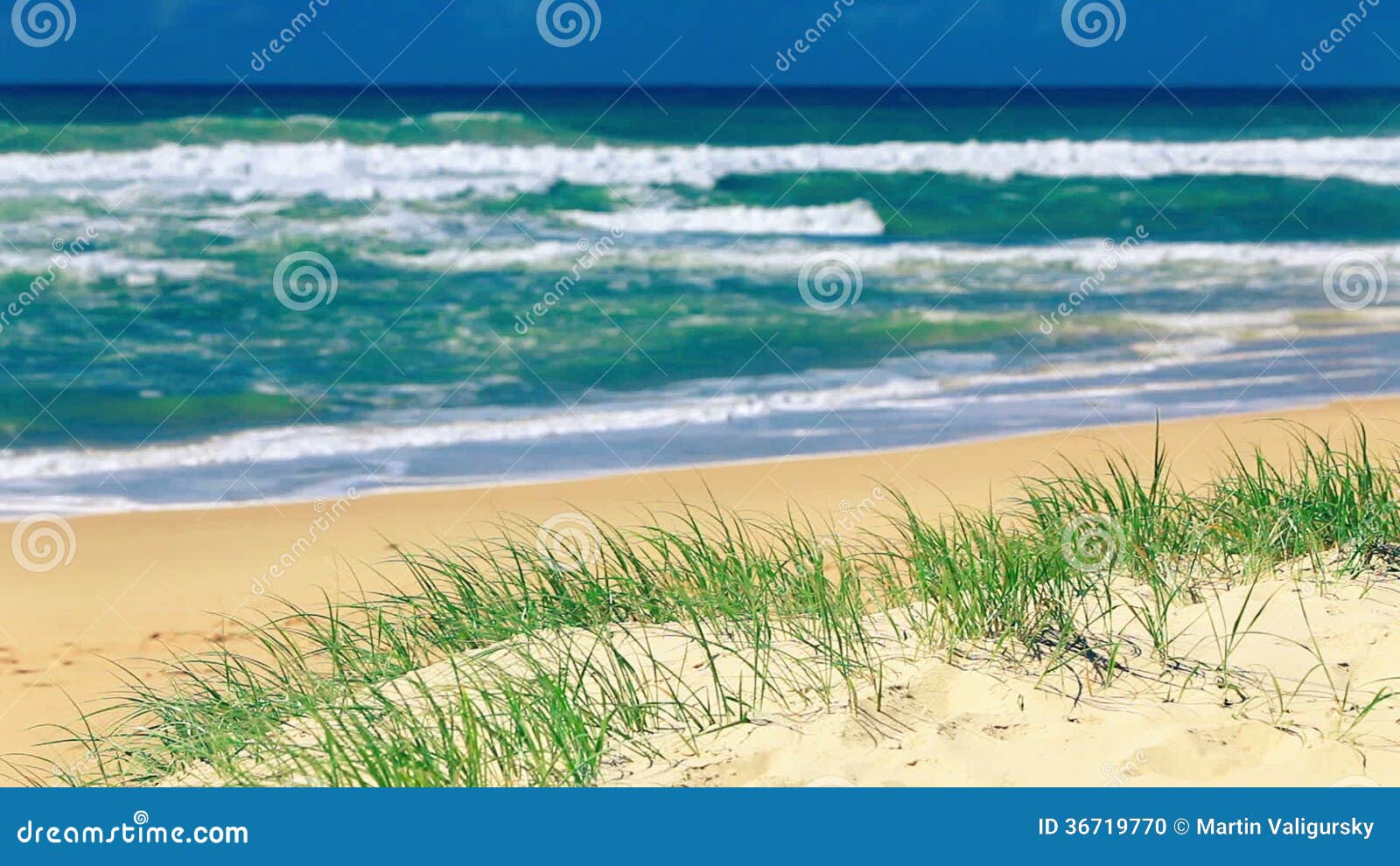 Grass and Sandy Beach on Sunny Day on Sunshine Coast Stock Video ...