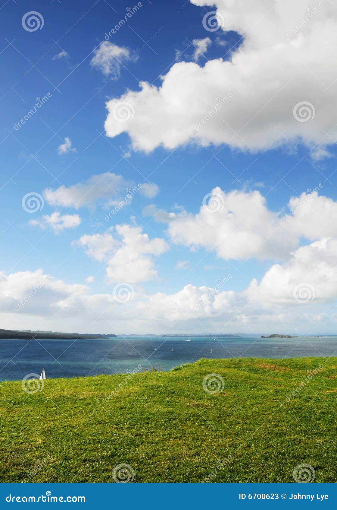 Grass, Sea, Sky stock image. Image of sailing, outdoor - 6700623