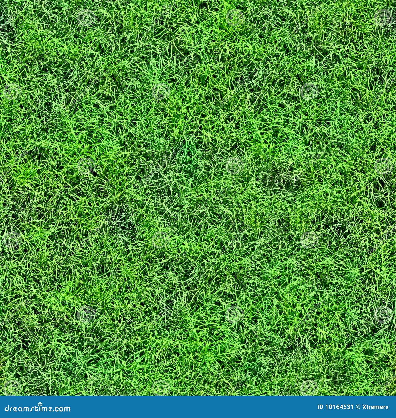 Grass Seamless Pattern (1 of 2). Stock Image - Image of fresh ...