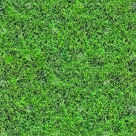 Grass Seamless Pattern (1 of 2). Stock Image - Image of fresh ...
