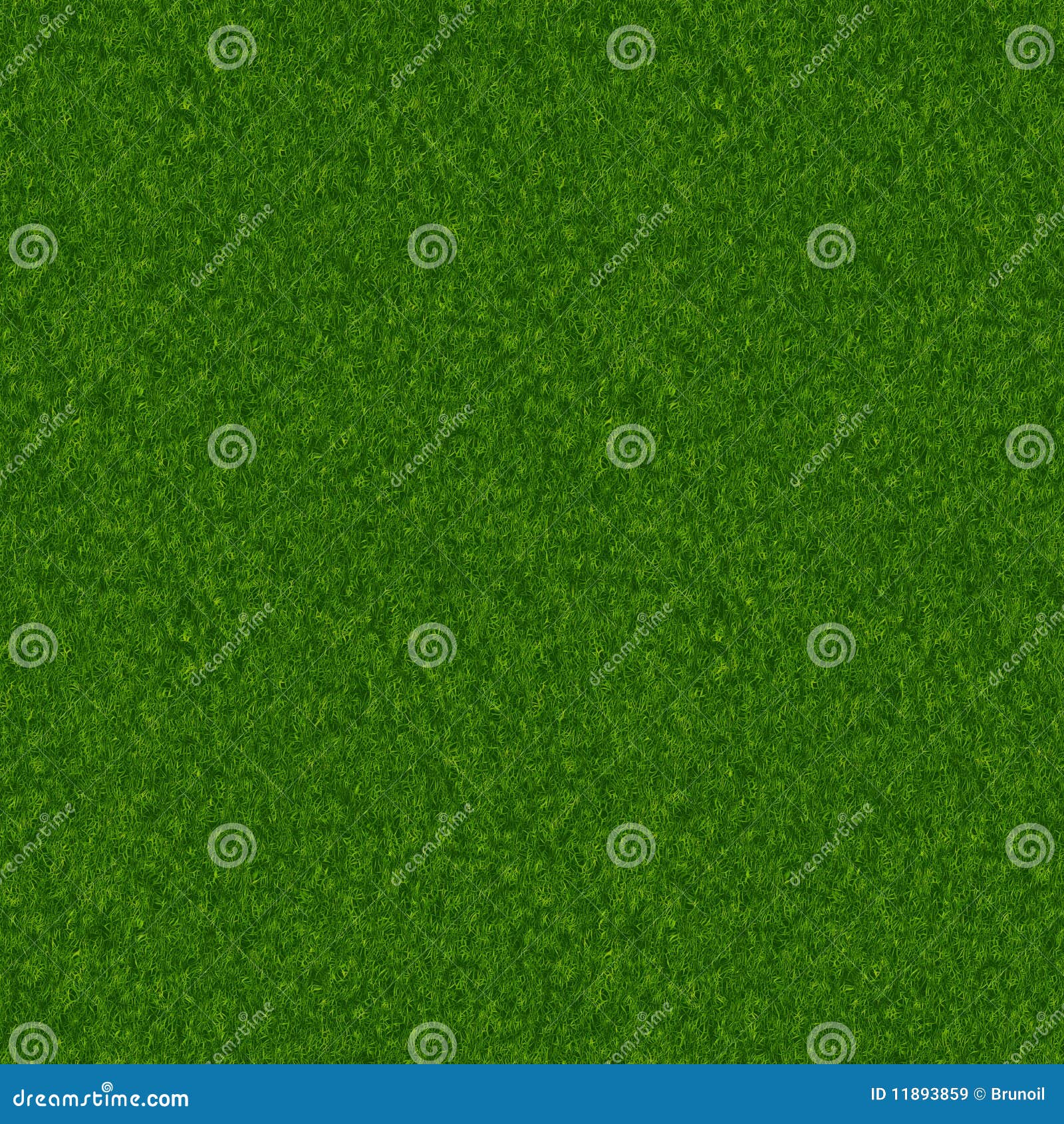Grass Seamless Pattern stock illustration. Illustration of grass - 11893859