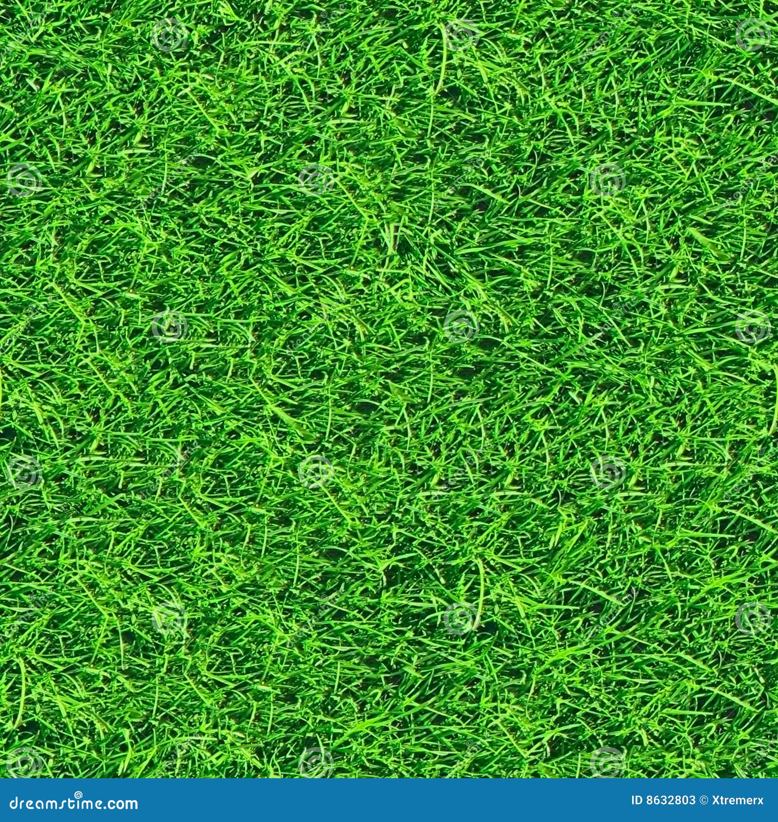 Seamless Grass Texture Stock Photo | CartoonDealer.com #38820150