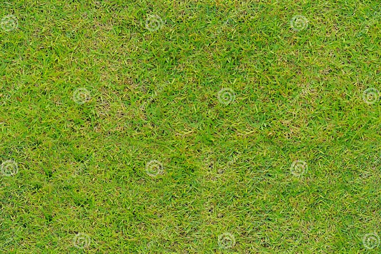 Grass Seamless Pattern Material Mapping for Architecture Landscape 3d ...