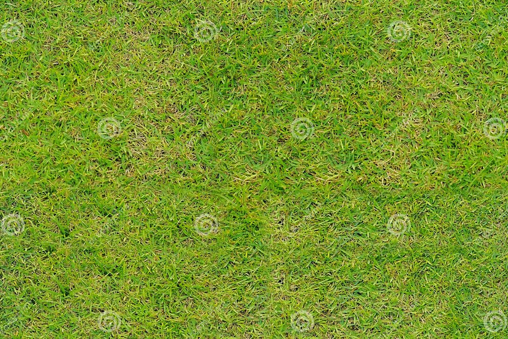 Grass Seamless Pattern Material Mapping for Architecture Landscape 3d ...