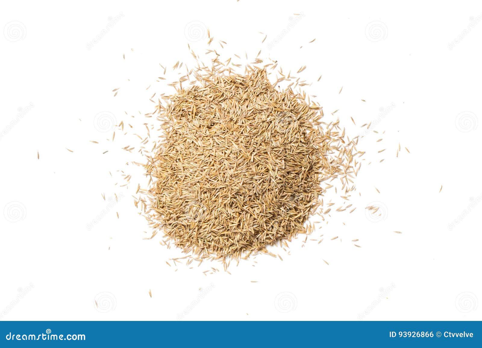 Grass seed pile stock photo. Image of grow, lawn, plant - 93926866