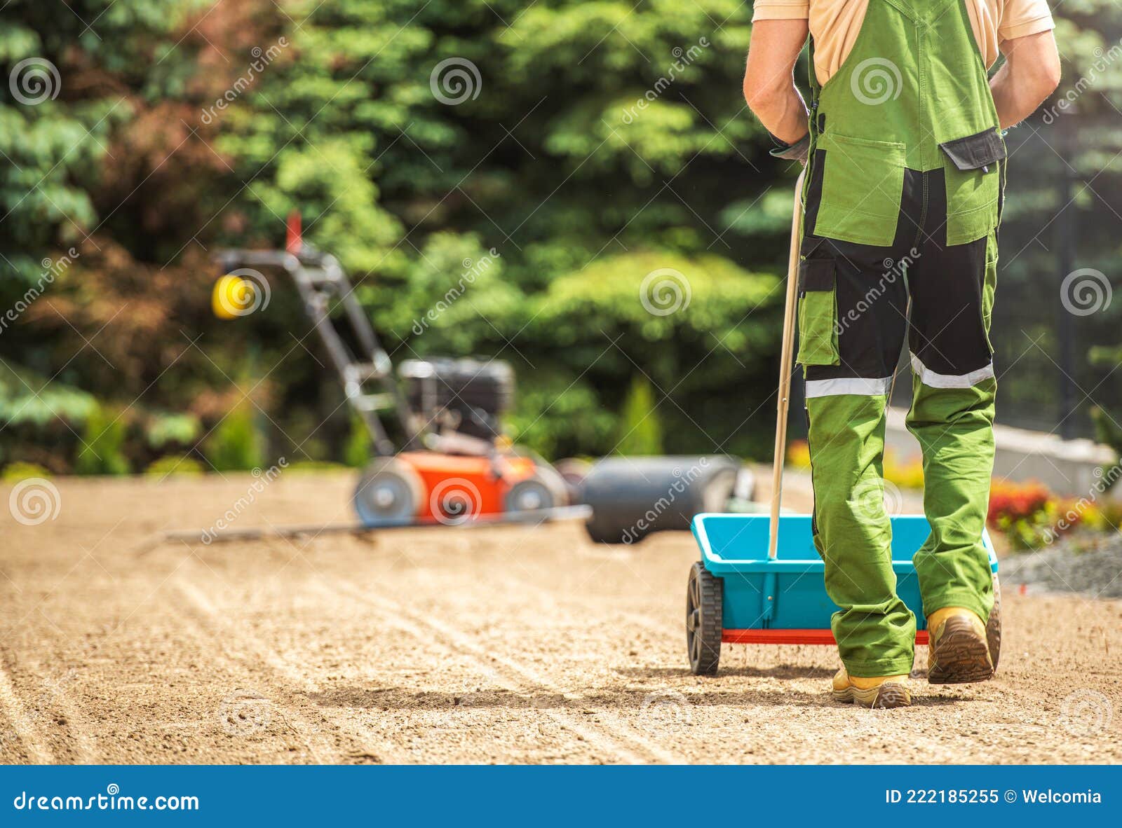 Grass Seeds Distribution Along Backyard Garden Stock Image - Image of ...