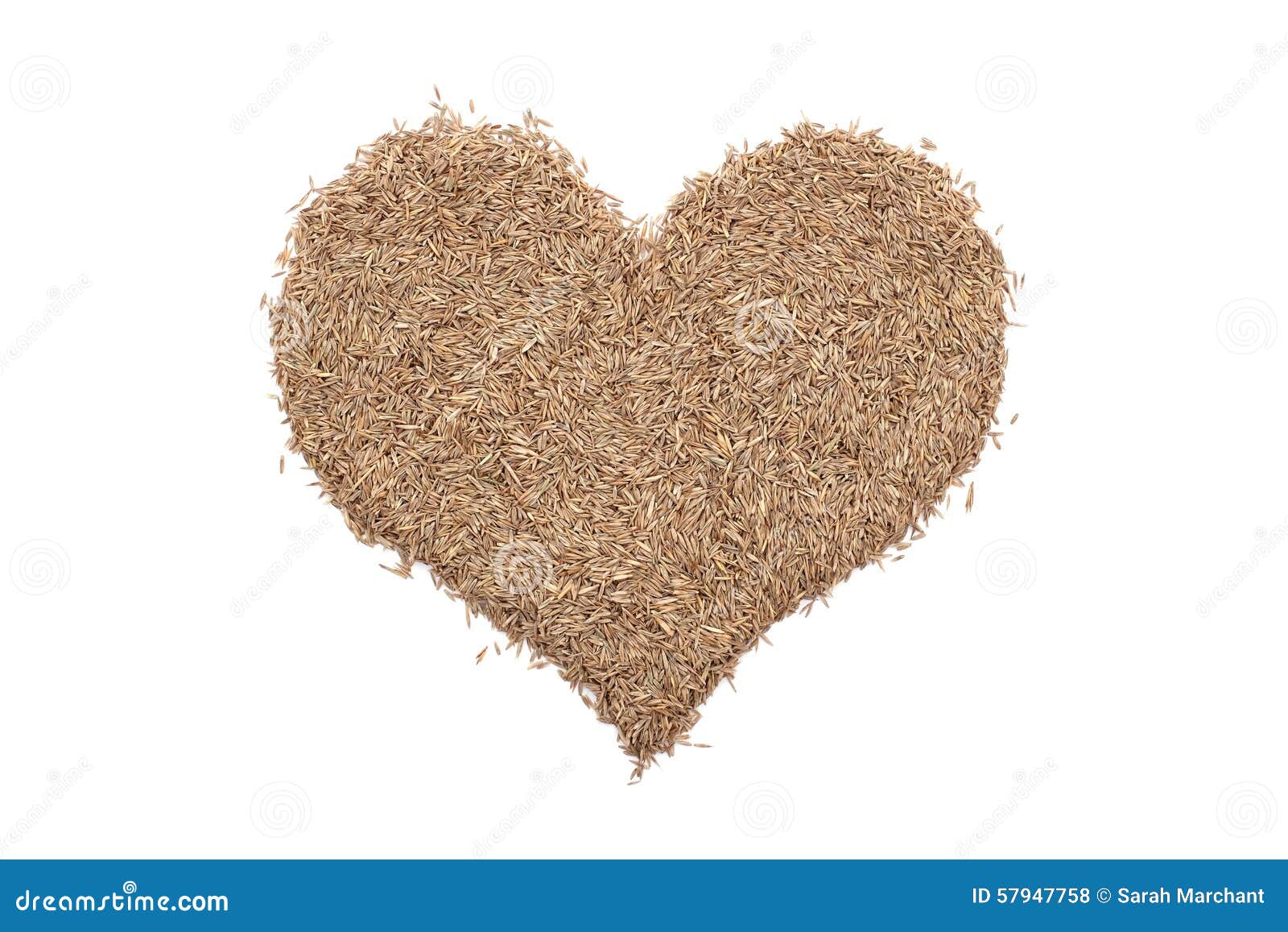 Grass Seeds in a Heart Shape Stock Photo - Image of cultivation, love ...