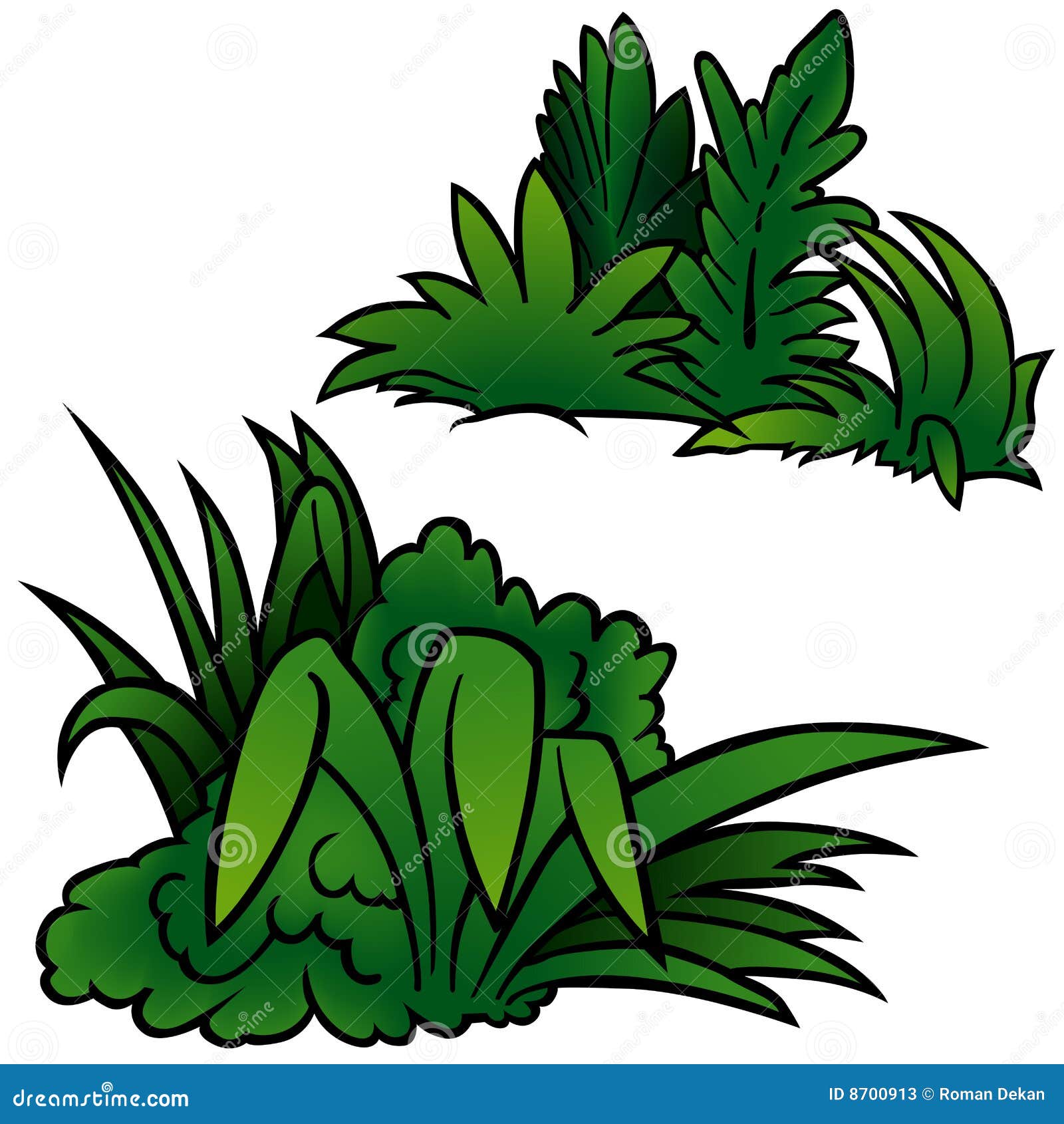 Grass Set stock vector. Illustration of sward, flora, drawings - 8700913
