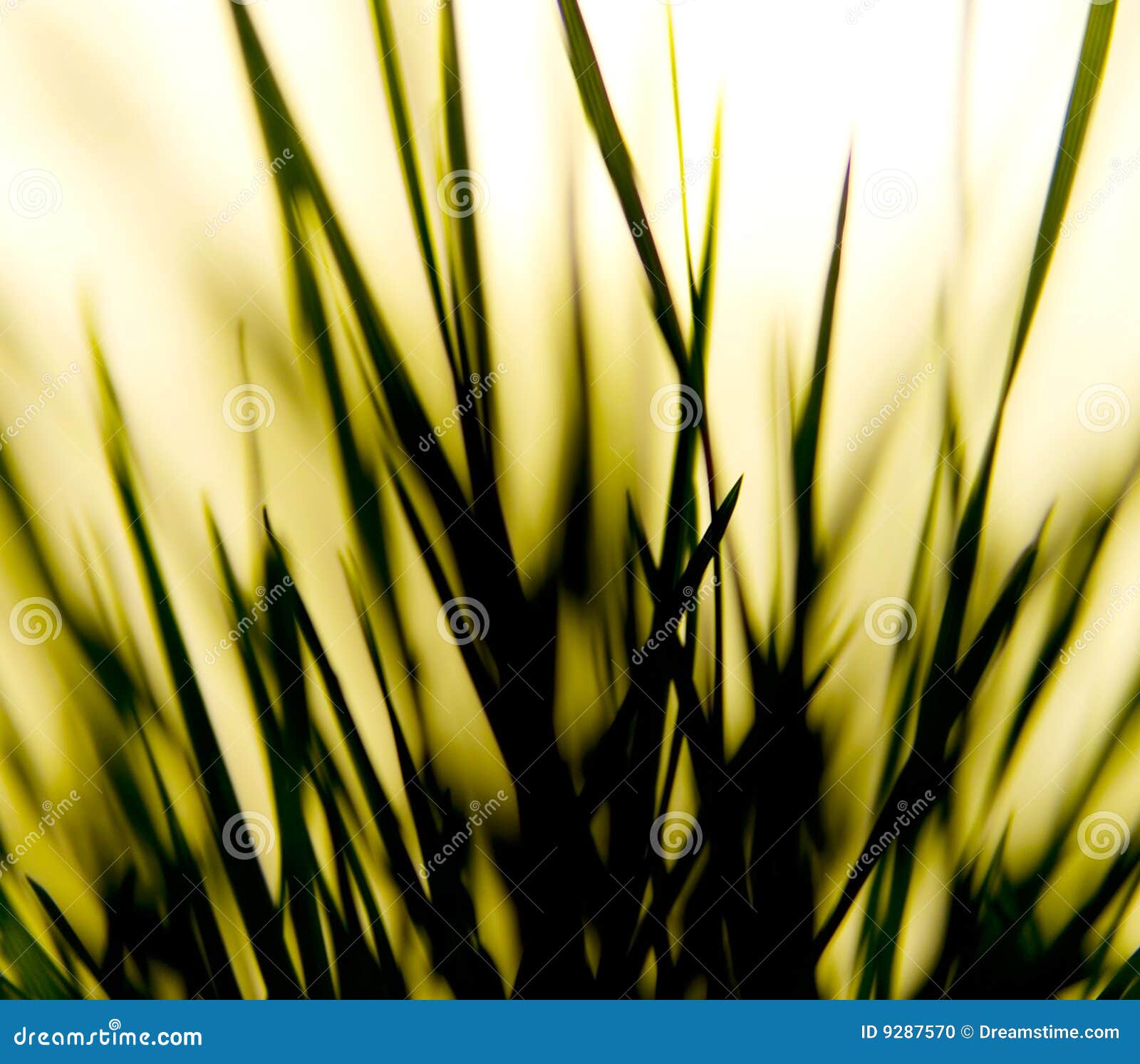 Grass Shapes stock photo. Image of country, grassland - 9287570