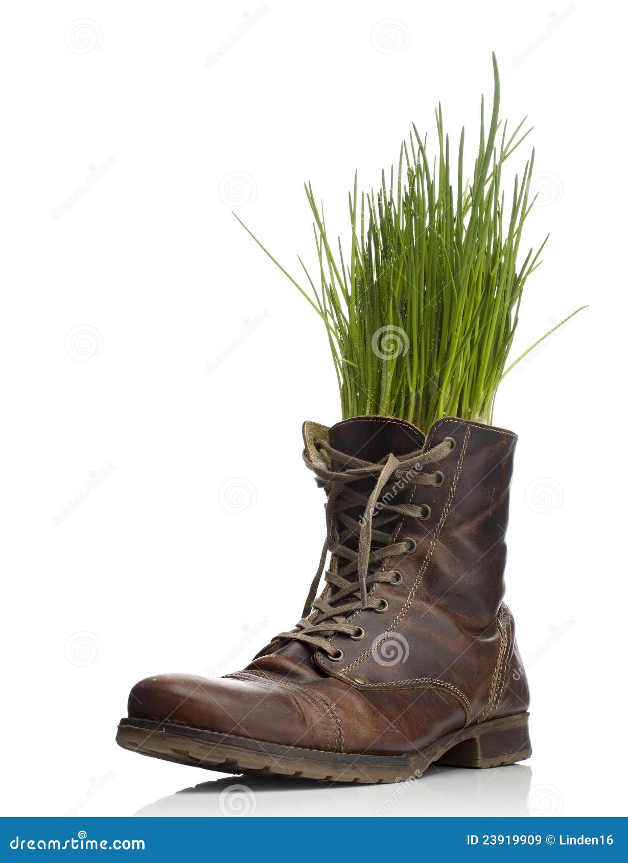 GRASS SHOES stock image. Image of lifestyle, marathon - 23919909