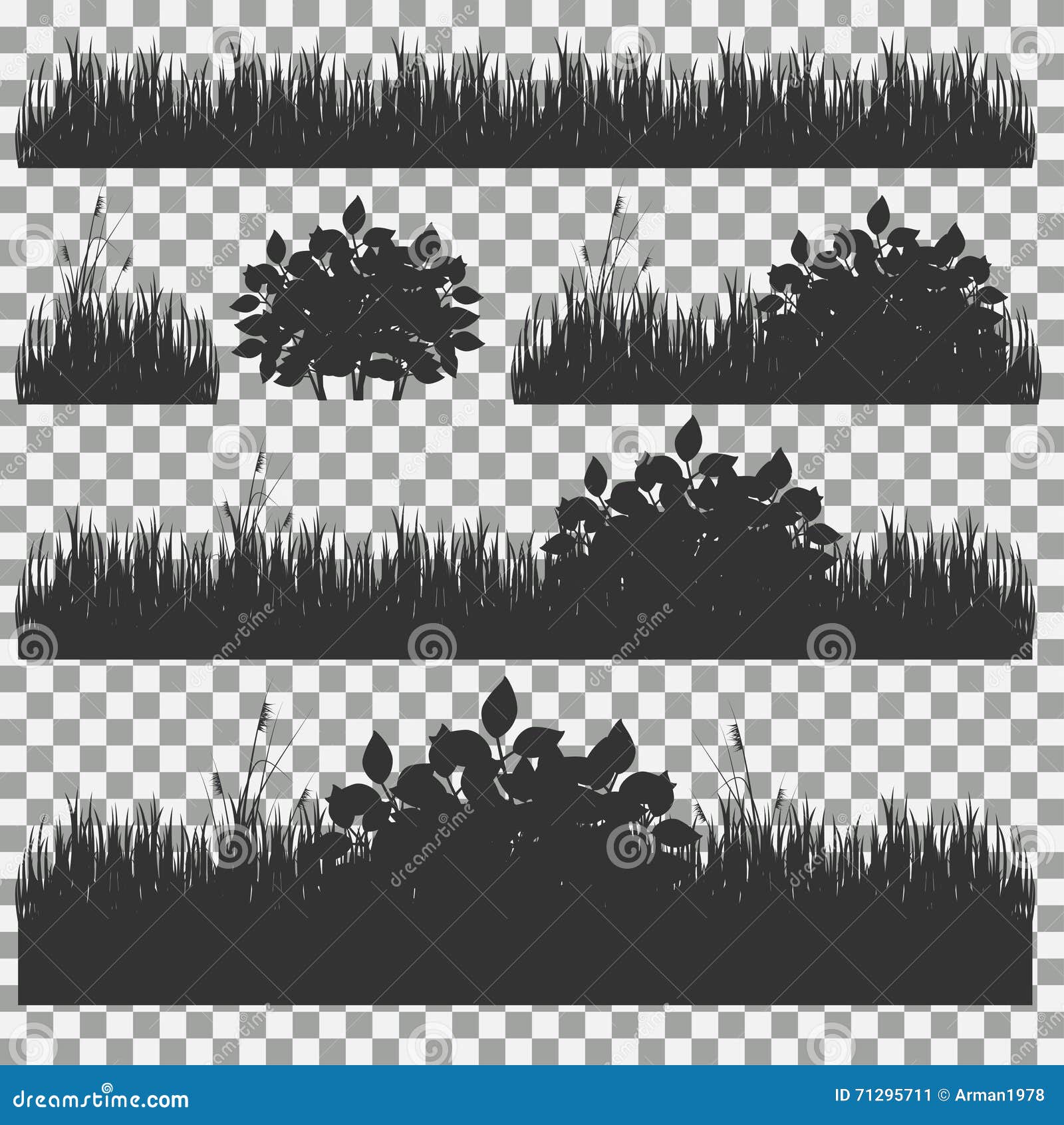 Grass, Shrubs. a Set of Various Types of Grass. Set of Grass on a ...