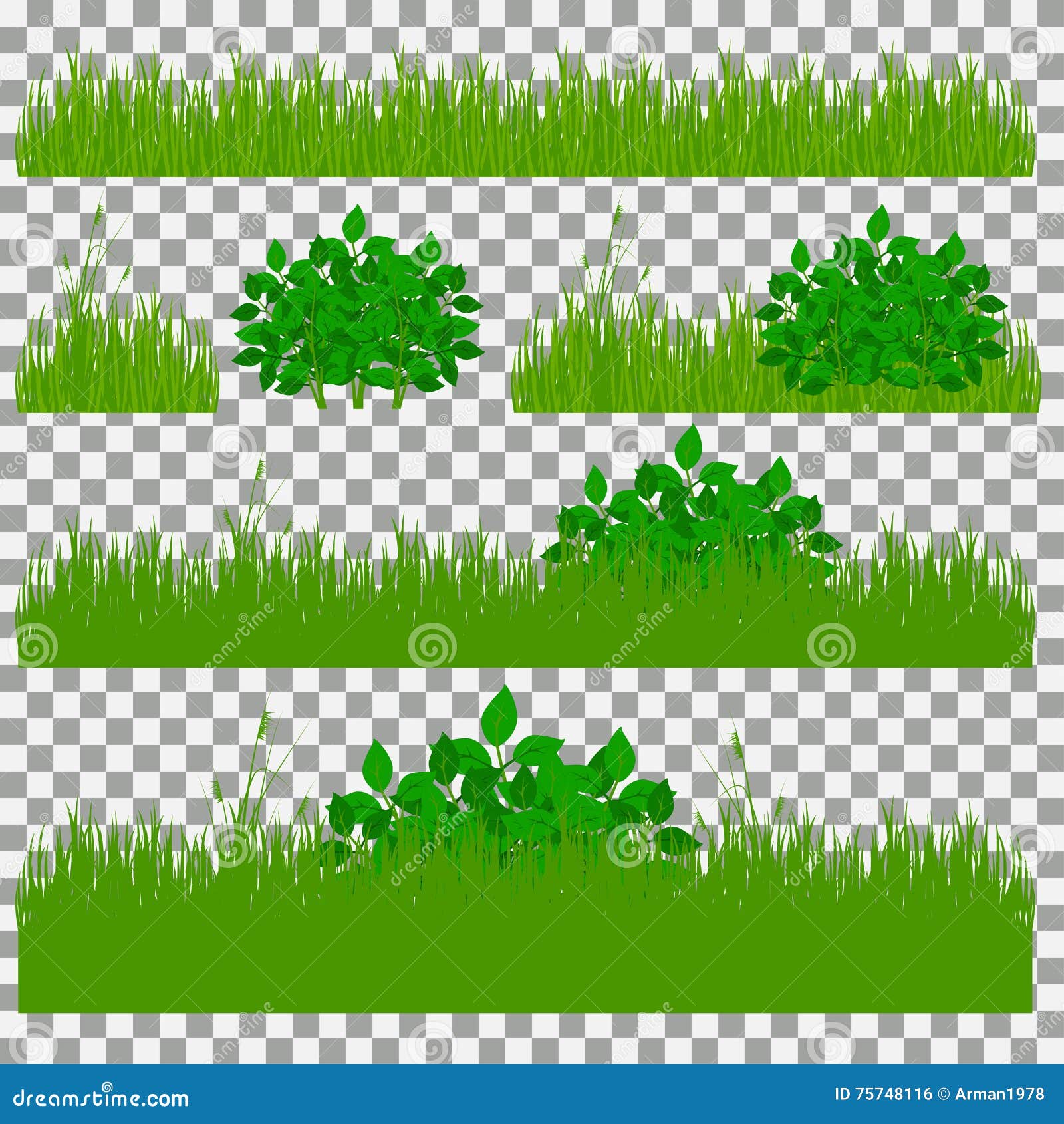 Grass, Shrubs. A Set Of Various Types Of Grass. Set Of Grass On A ...