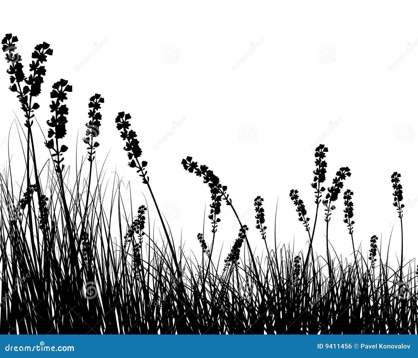 Grass silhouette stock vector. Illustration of background - 9411456