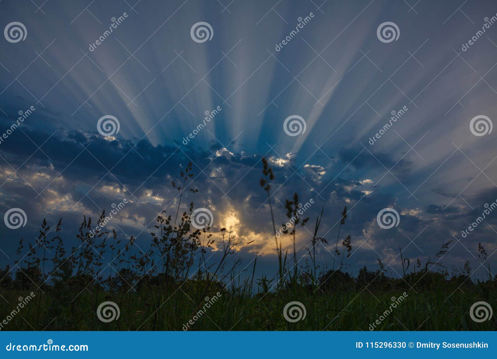 Grass Silhouette on Background of Sundown Rays Stock Photo - Image of ...