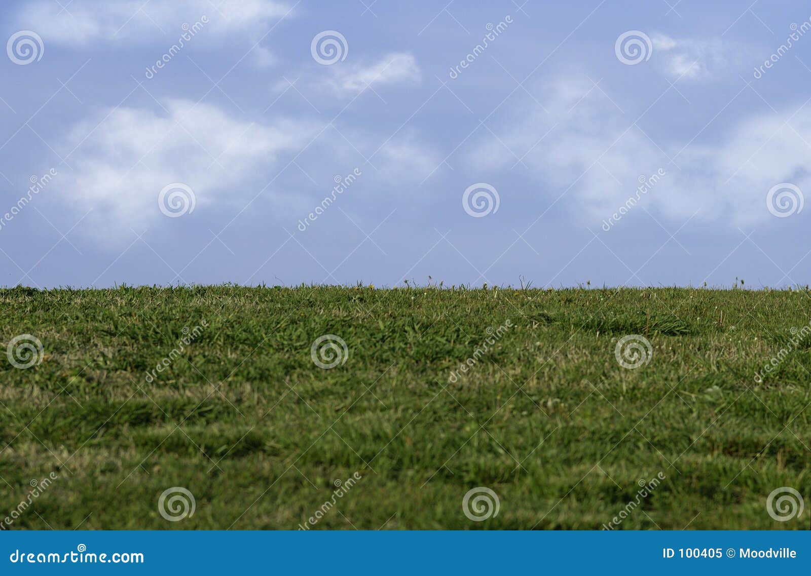 Grass and sky stock image. Image of landscape, pasture - 100405