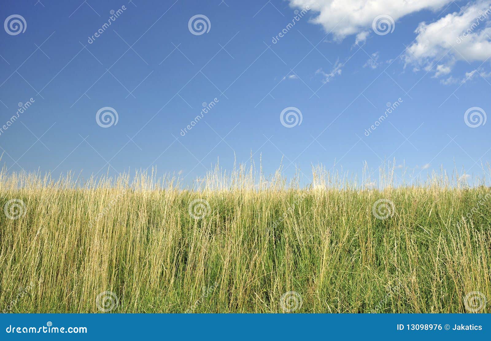 Grass and sky stock photo. Image of beautiful, colours - 13098976