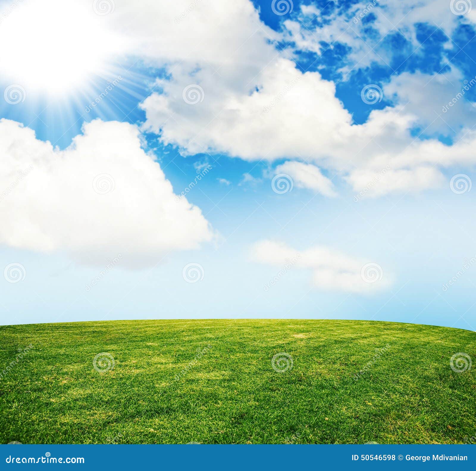 Grass and sky stock photo. Image of grassland, grass - 50546598