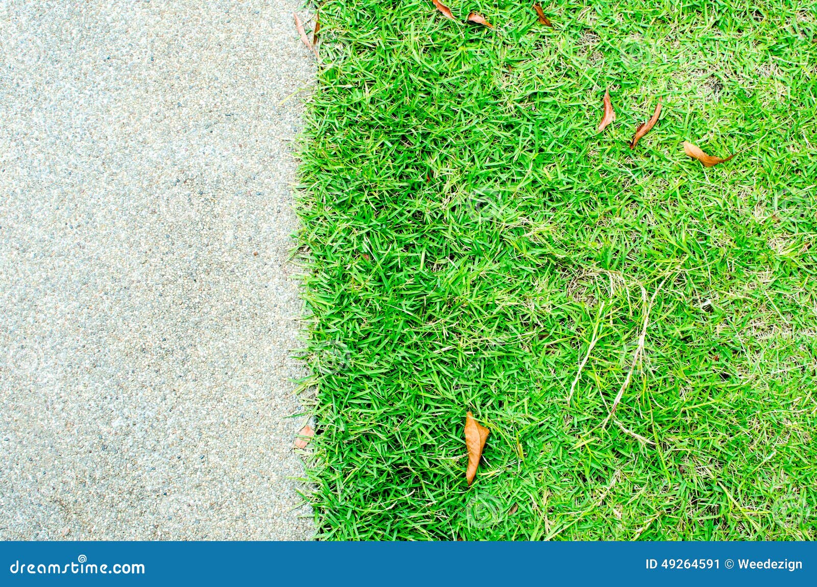 Grass and Small Stone Pavement Stock Image - Image of sidewalk ...