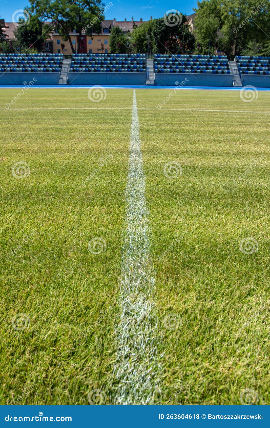 Grass on the soccer field stock photo. Image of pitch - 263604618